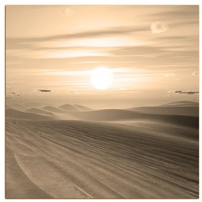 Obraz na plátně - Pouštní západ slunce - čtverec. 3917FA (50x50 cm)