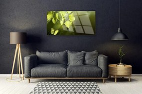 Plexisklo-obraz Listy Slunce Paprsky 100x50 cm