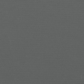 vidaXL Zatahovací boční markýza 160 x 1 200 cm [318068] Barva: antracitová