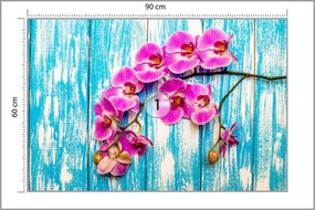 Fototapeta Orchideje Na Pozadí Desek Strukturální vinyl 416x254