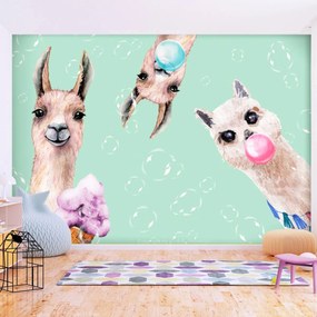 Fototapeta - Crazy Llamas