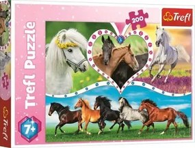 Trefl - Puzzle - Krásní koně / 200 dílků / 48 x 34 cm / věk 7+