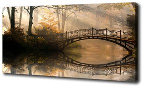 Wallmuralia Foto obraz na plátně do obýváku Starý most podzim 100x50