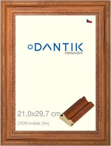 DANTIK rámeček 21x29,7 | LYON hnědá (Sklo Čiré)