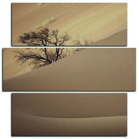 Obraz na plátně - Červené písečné duny - čtverec 3133FD (105x105 cm)