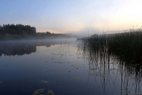 DIMEX | Vliesová fototapeta Řeka před úsvitem MS-5-3054 | 375 x 250 cm | zelená, modrá, šedá