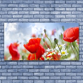 Plexisklo-obraz Máky Sedmikrásky Květiny 120x60 cm