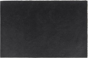 Rohožka před dveře přírodní 40 x 60 cm kokosové vlákno 155608