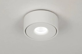 Stropní bodové LED svítidlo Spot DXYM White