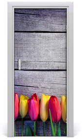 Samolepící fototapeta na dveře barevné tulipány 75x205 cm