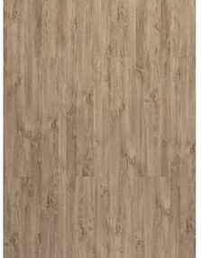 Tajima, Vinylová podlaha lepená Tajima Classic Ambiente 6624 šedobéžová, 1219,2 x 177,8 mm