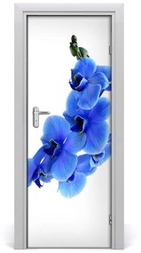 Fototapeta samolepící modrá Orchidejo 75x205 cm