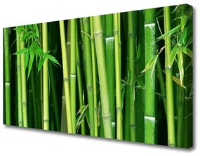 Obraz na plátně Bambusový Les Bambus Příroda 100x50 cm