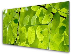 akrylový obraz Listy Příroda Rostlina 140x70 cm