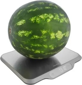 SENCOR SKS 7300 stříbrná / digitální kuchyňská váha / max. 30 kg / fun
