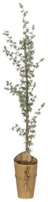 IB LAURSEN Umělý stromeček Cedar 75 cm, zelená barva, přírodní barva, plast