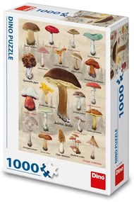 Dino Puzzle Houby koláž 1000 dílků