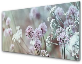 Plexisklo-obraz Polní Květiny Louka Příroda 100x50 cm