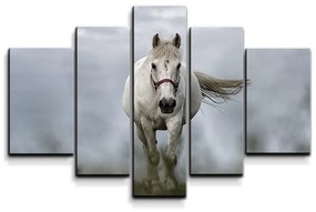 Sablio Obraz - 5-dílný Bílý kůň 3 - 125x90 cm