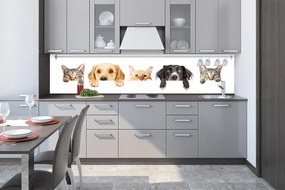 DIMEX | Fototapeta do kuchyně Kočky a psi KI-260-175 | 260 x 60 cm | bílá, šedá, černá, béžová