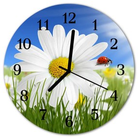 Skleněné hodiny kulaté Ladybug květina