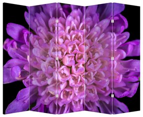 Paraván - Detail květu (210x170 cm)
