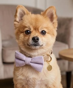 Pet Amour Motýlek na obojek pro psy světle fialový Velikost: S