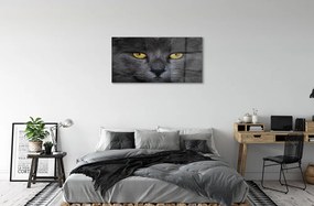 akrylový obraz Černá kočka 100x50 cm