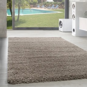 Kusový koberec Dream Shaggy 4000 beige 120 x 170 cm