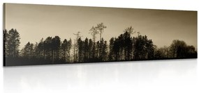Obraz sépiový les - 135x45 cm