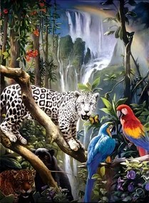NORIMPEX Diamantové malování Papoušci a panter / 30x40 cm