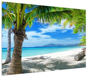 Obraz palmy a pláže (100x70 cm)