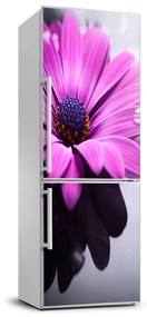 Wallmuralia Nálepka fototapeta lednička Růžová gerbera 60x180 cm