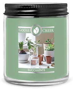 Goose Creek Candle svíčka Succulents, 198 g