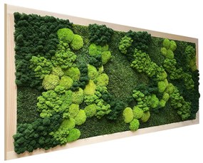 WOODILO Mechový obraz v  rámu z masivu 248 | kopečkový mech Rozměr obrazu: 100x100 cm, Barva rámu: Přírodní (světlé dřevo), Síla rámu (pohledová): 2,5 cm