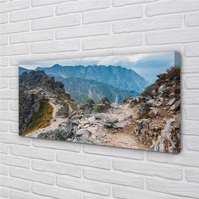 Obrazy na plátně hory 100x50 cm