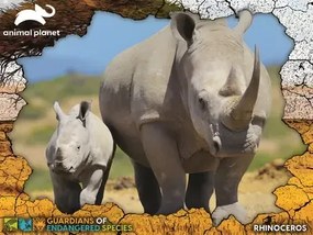 PRIME 3D Puzzle Ohrožené druhy: Nosorožec / 3D efekt / 100 dílků