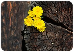 Prostírání - 077, Žluté květiny na starém dřevě