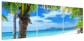 Obraz palmy a pláže (150x50 cm)