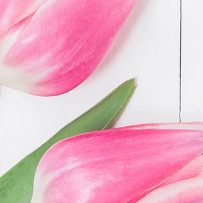 Malvis ® Tapeta Tulipány a bílé dřevo Vel. (šířka x výška): 360 x 260 cm