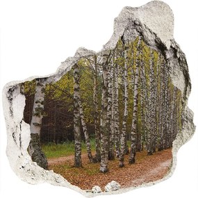 Wallmuralia Díra 3D ve zdi nálepka Alej bříz 75x75 cm