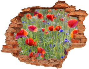 Wallmuralia Samolepící díra na stěnu Polní květiny 90x70 cm