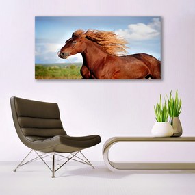akrylový obraz Kůň Zvířata 120x60 cm