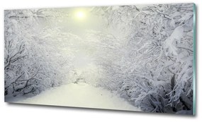 Wallmuralia Foto obraz fotografie na skle Hezký zimní les 100x50