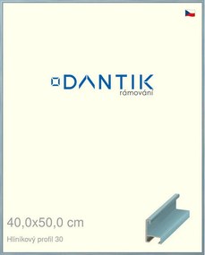 DANTIK rámeček 40x50 | ALU profil 6030 Dýha barevná modrá pastel (Sklo Čiré)
