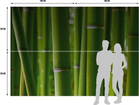 Vliesová fototapeta na zed' Bambus | 360 x 254 cm | DFTS0170