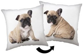 Jerry Fabrics Polštářek Bulldog 40x40 cm