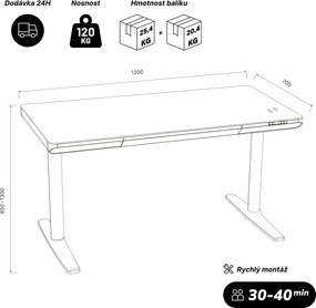 Elektrický psací stůl sit-stand se zásuvkou a bezdrátovou nabíječkou Qi bílý/zlatý dub, 1200 mm: ELLIS