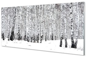 Obraz na skle Zimní břízy 140x70 cm