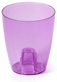 Prosperplast Květináč COUBI ORCHID vysoký fialový transp. 16 cm